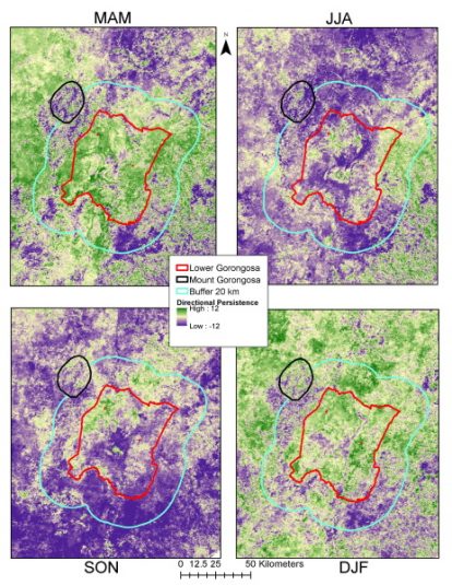A Healthy Park Needs Healthy Vegetation - The Story of Gorongosa ...