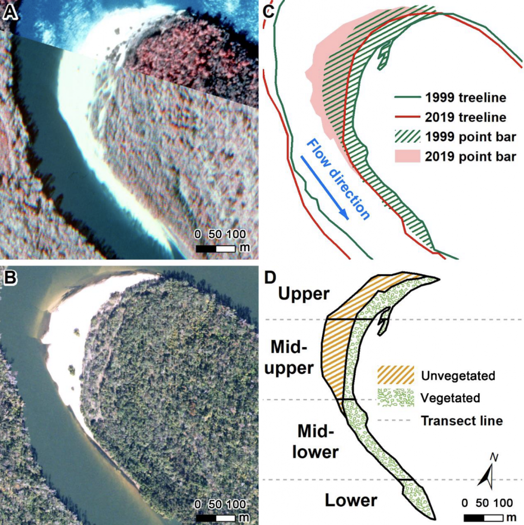 Floodplain characteristics affect woody vegetation regeneration on ...