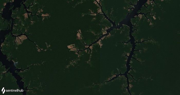 The great Amazon land grab - Geography