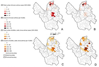 Spatial clusters of human and livestock anthrax define high-risk areas requiring intervention in ...