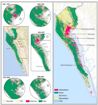 The role of the refugee crises in driving forest cover change and ...