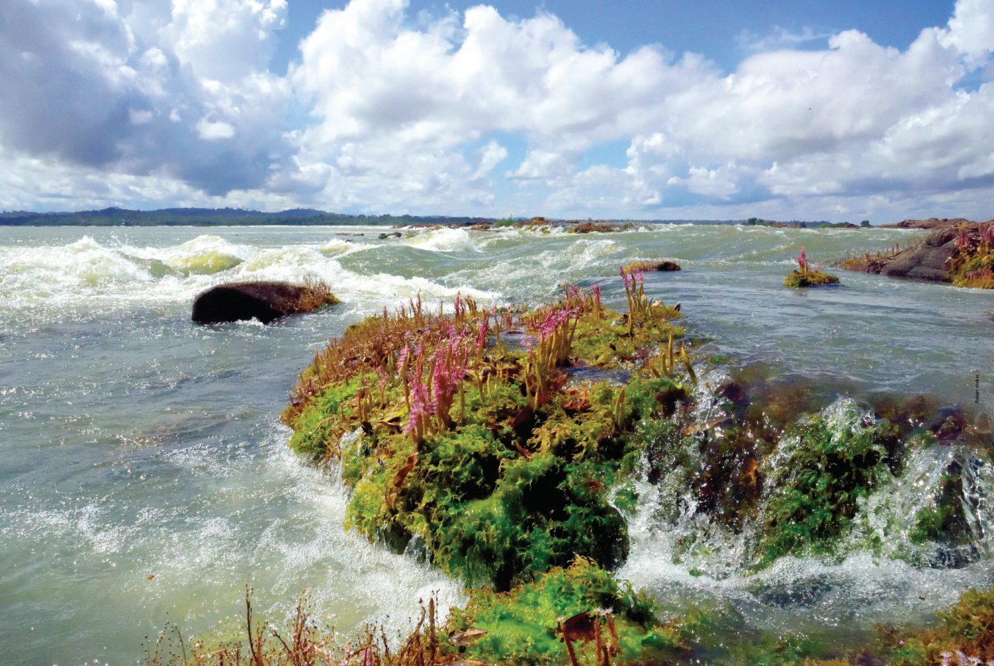 Endangered Amazon: An Indigenous Tribe Fights Back Against Hydropower ... Endangered Amazon: An Indigenous Tribe Fights Back Against Hydropower ...